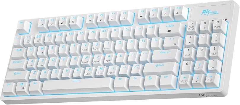 RK ROYAL KLUDGE RK89 85 Percent Hot Swappable Mechanical Keyboard ...