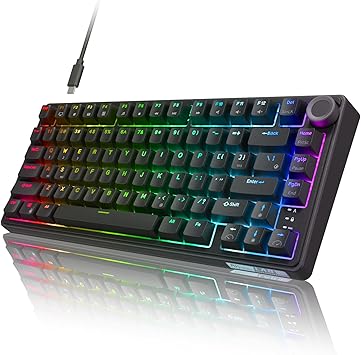 RK Royal Kludge R75 Wired Gaming Keyboard with Hot-Swap Brown Switches ...